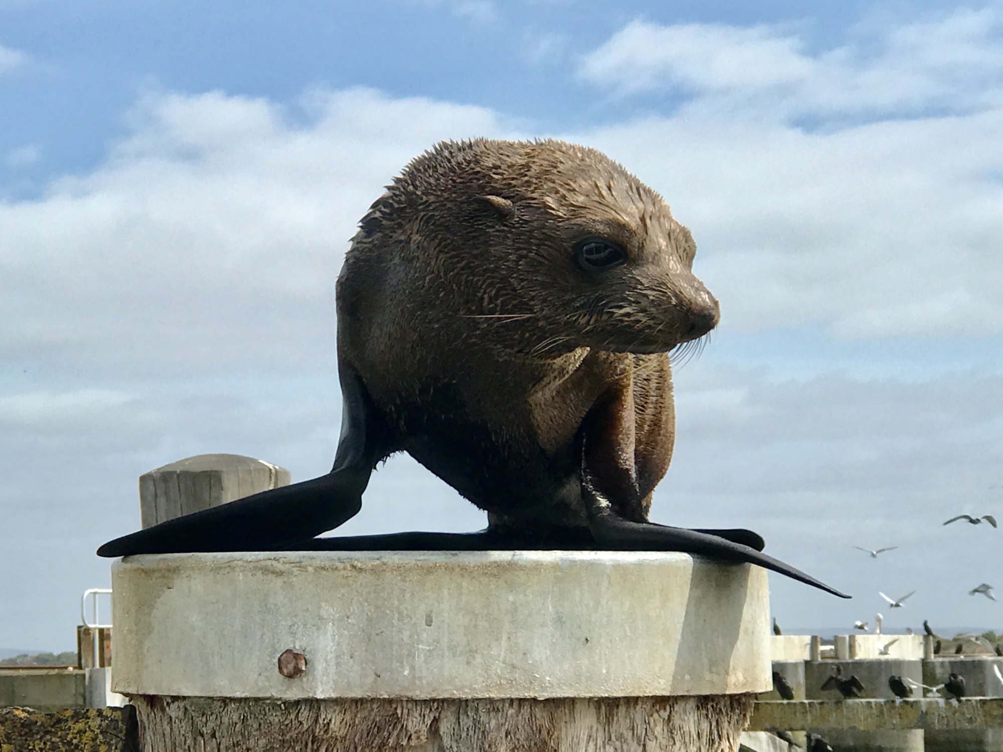 Coorong National Park South Australia | Happy Campers Australia