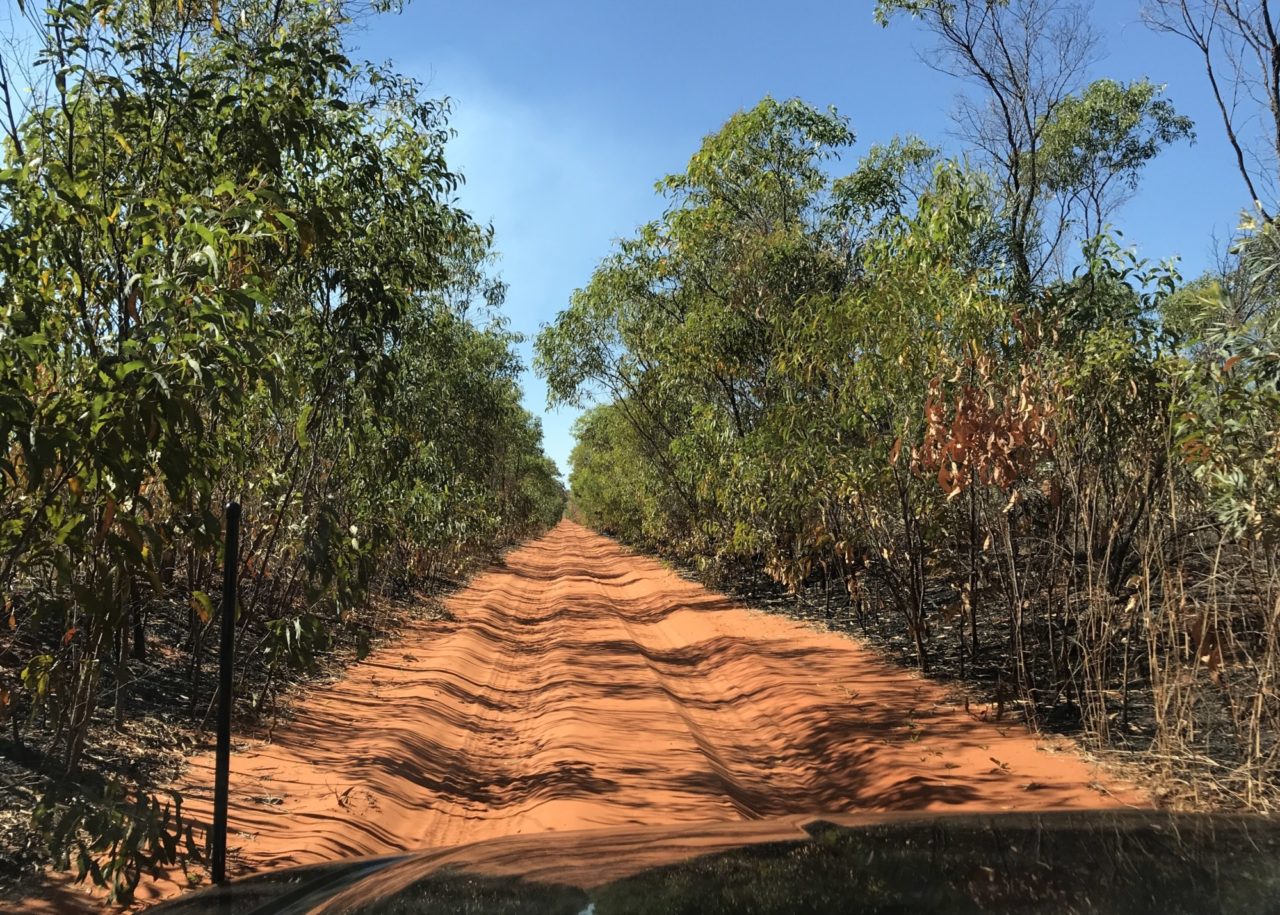 Cape Leveque, Western Australia - Taking your caravan | Happy Campers ...
